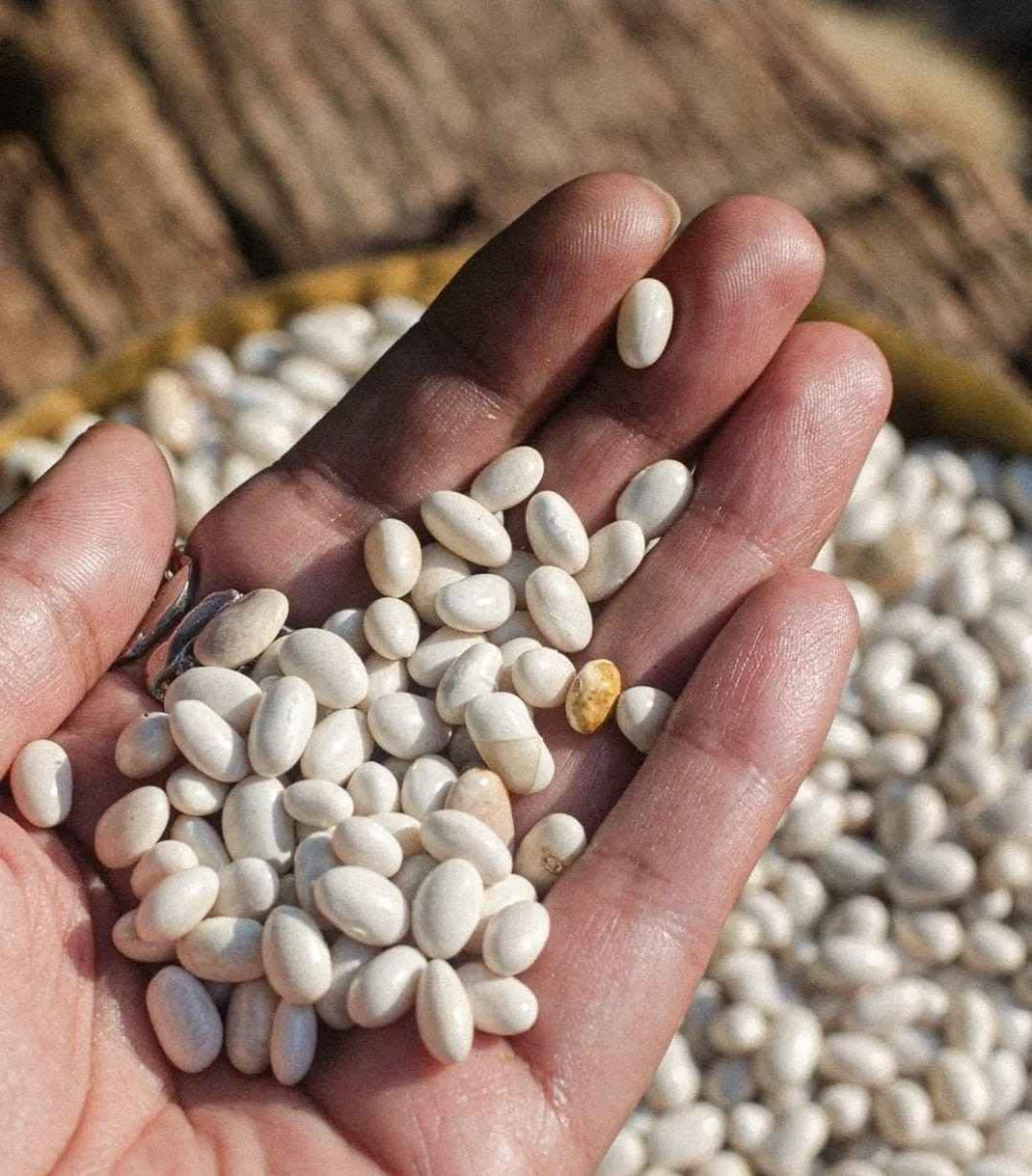 Kulthi Kulath/ Gahat Horse Gram Pahadi Dal Recipe – Poit From Hills